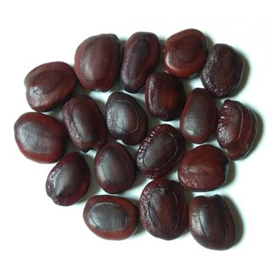 GRAINS | RSV Global Raipur